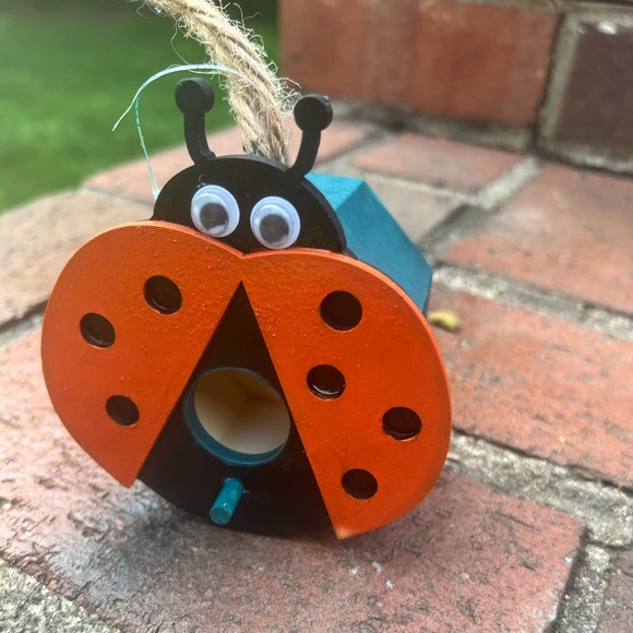 Other | Hand Painted Lady Bug Bird Houses | Poshmark